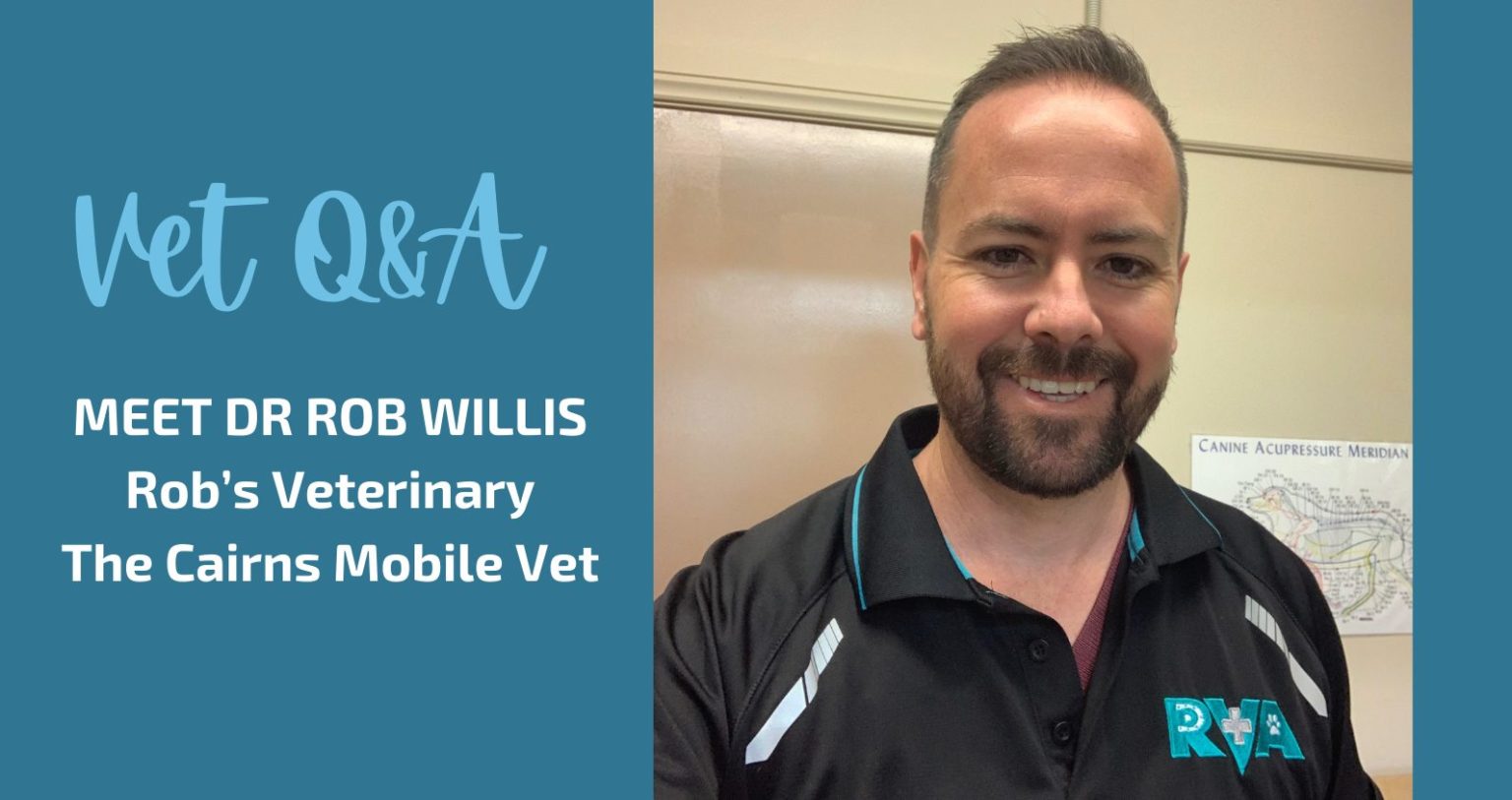 Q&A with Dr Rob Willis - CBD Vets Australia